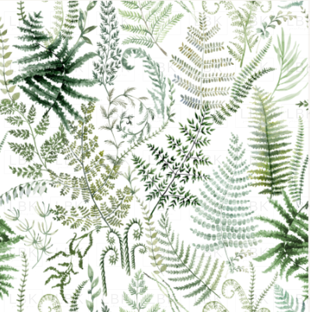 Hip Kid Designs — LBK Printing Co.