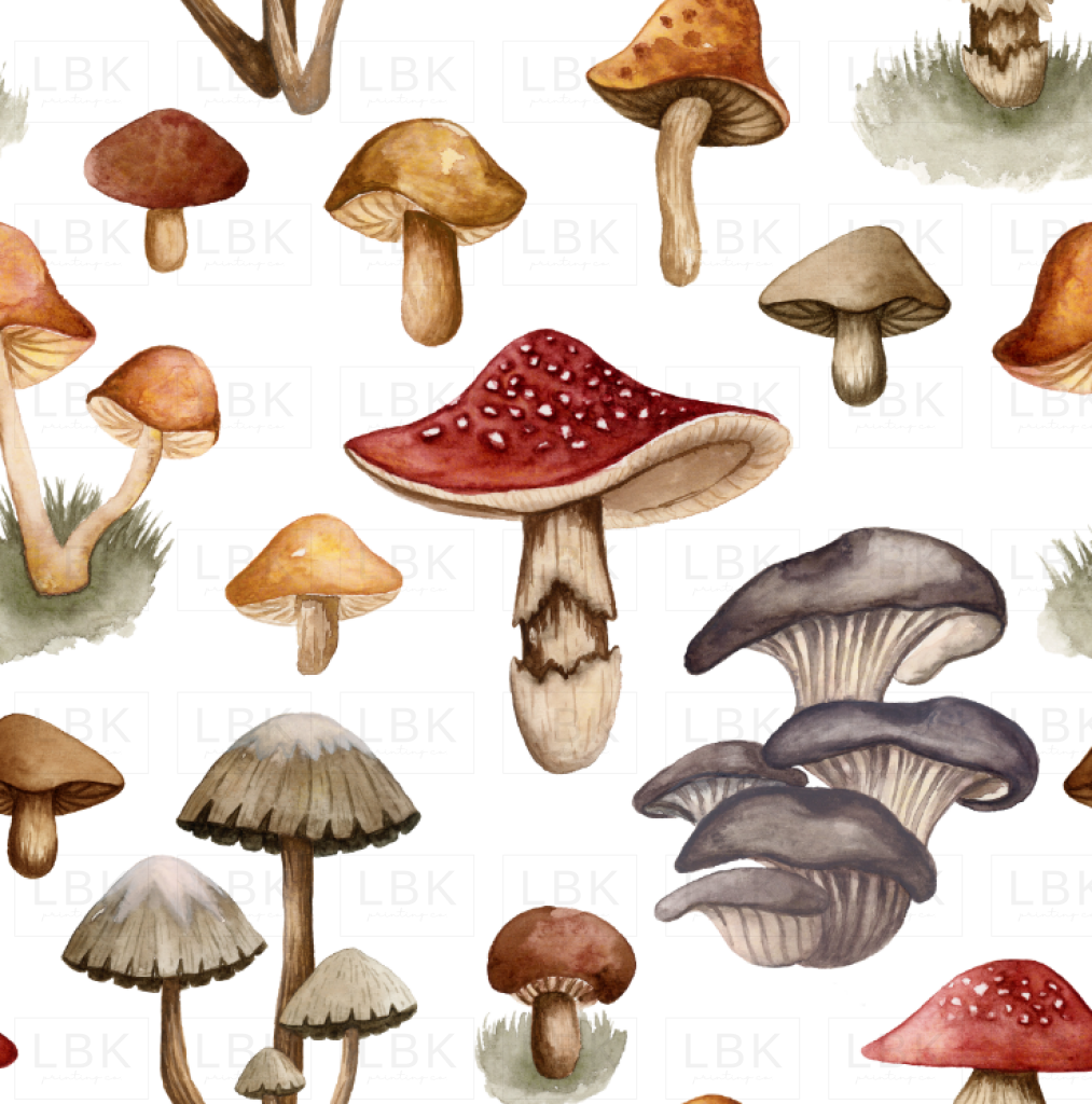 Fungi Fantasy — LBK Printing Co.